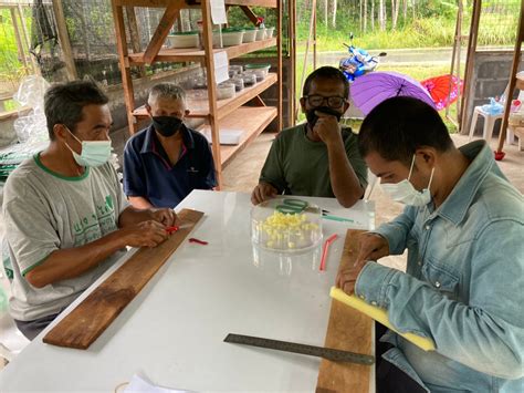 เกษตรทุ่งยางแ สำนักงานเกษตรอำเภอทุ่งยางแดง จังหวัดปัตตานี