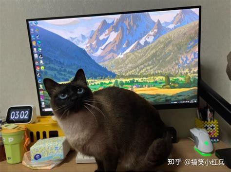 Lg Gp Aoc Qxp D