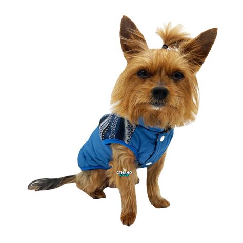 Двулицев елек за куче Син Стилно Куче