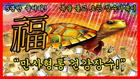 5분만 들어라🌕만사형통 건강장수🌕복을 몰고오는 장수거북이 소원성취 로또1등 스피또 2등 부동산 주식