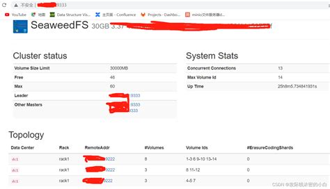 Seaweedfs分布式文件存储实战seaweed 文件 Csdn博客