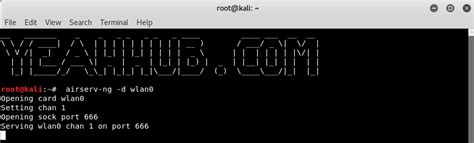 Wireless Packet Injection Testing Tutorial Yeah Hub