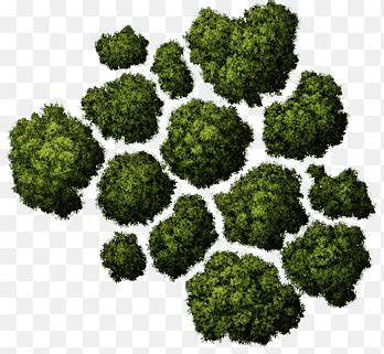 Tree Computer Icons Architecture Tree Top Tree Grass Ornament Illustration Leaf Vegetable