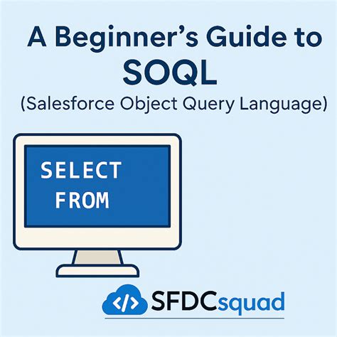A Beginners Guide To Soql Salesforce Object Query Language