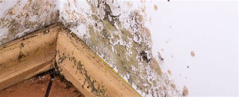 Things That Are And Are Not Biohazard Materials