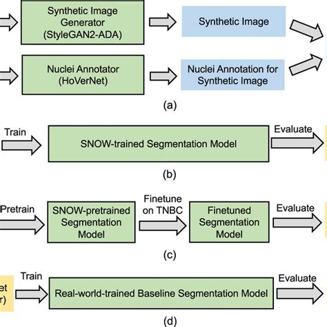 Visualization Of Segmentation Performance On Tnbc Dataset The First