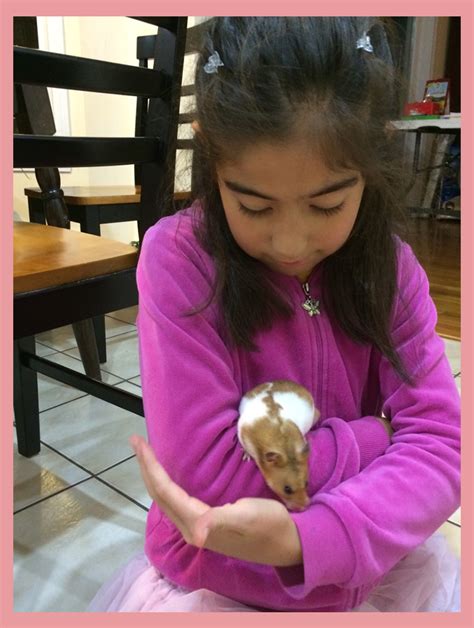 Shipwreck Story Fluid Palette