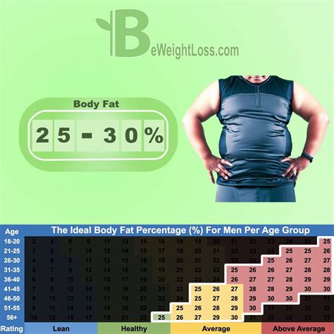 25 To 30 Percent Body Fat For Men