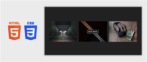 🤯 30dayschallenge 30 Days Extreme Html And Css Challenge 🤯 Dev Community