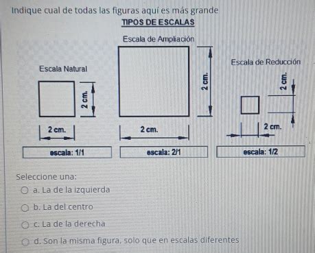 Solved Indique Cual De Todas Las Figuras Aquí Es Más Grande Tipos De