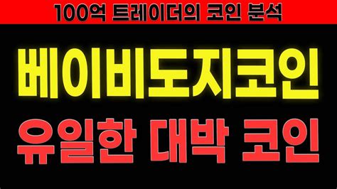 베이비도지코인 대박을 노릴 수 있는 유일한 코인 Youtube
