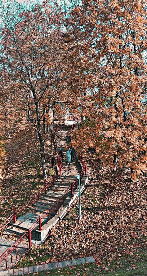 Autumn Staircase In The Park