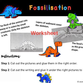 Fossils And Fossilisation By Hands On Learning With Kerstin TPT