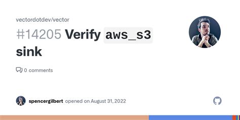 Verify `awss3` Sink · Issue 14205 · Vectordotdevvector · Github