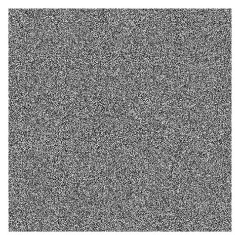 The First Two Rows Display The Used Investigation Images Whereas The