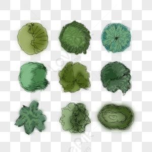 Trees Drawing Angle Schematic Illustration Stick Figure Looking Down High Angle PNG Image Free