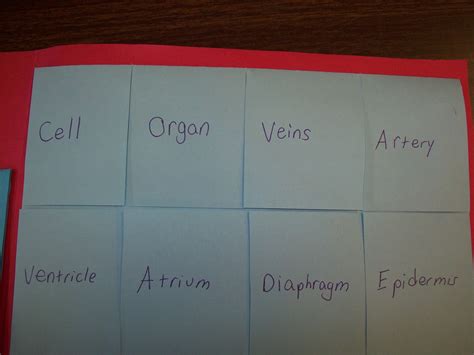 Hunters Tales From Teaching Science Foldables