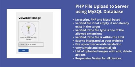 Programming The Upload File Using Php And Mysql Database By Devappsolution Fiverr