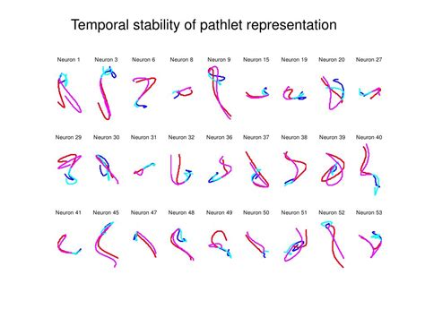 Ppt Encoding And Decoding Of Neuronal Ensembles In Motor Cortex