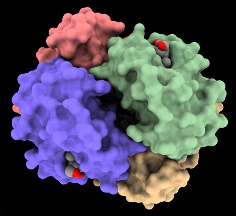 Ucsf Chimerax Home Page