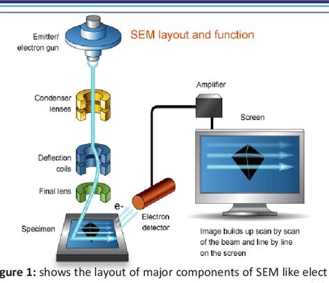 Scanning Electron Microscope Parts
