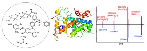 The Peng Group Environmental Chemical Biology