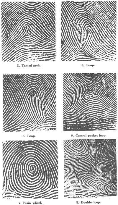 Fingerprint Types Figs 3 8