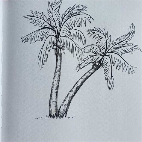 Palm Tree To Draw