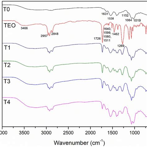 Preparation Of Active Films Via Solvent Casting Method Download