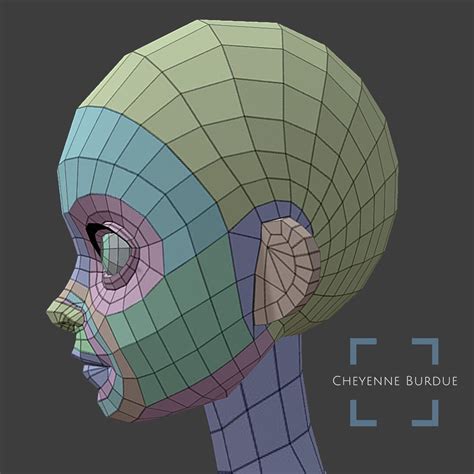 Low Poly Face Topology