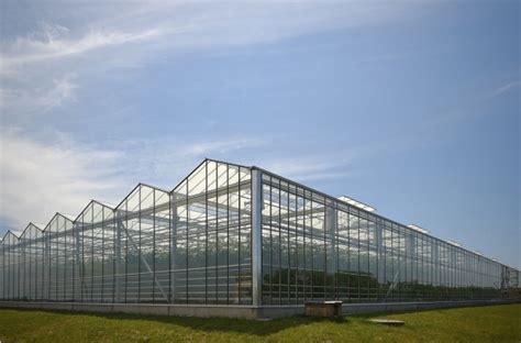 Теплицы промышленные любого уровня под ключ