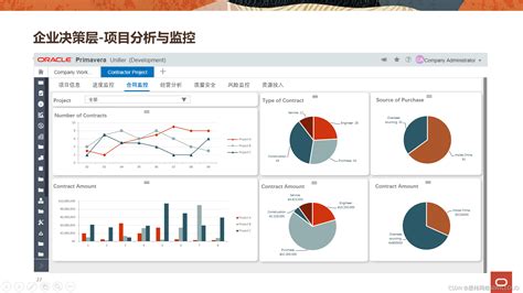 项目管理解决方案2：primavera全生命周期平台覆盖全管理层级上篇项目全生命周期管理平台 Csdn博客