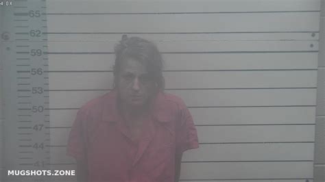 Sansone Dolores Louise 12132022 Desoto County Mugshots Zone