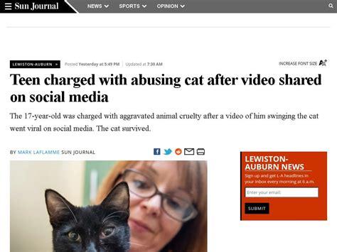 teen charged with abusing cat after video shared on social media le