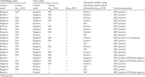 Laboratory Analysis Of 22 Discrepant Results And Final Interpretation