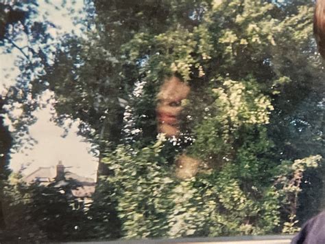 Willem Wolfe Sample Pack Vol 1