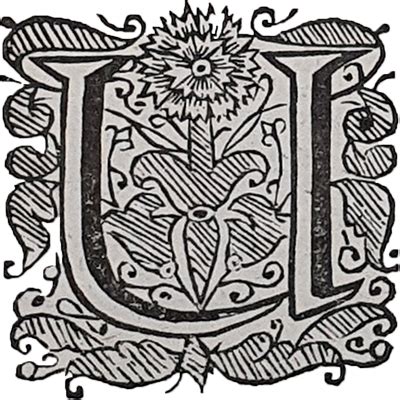 U (1) – Unique and Distinctive