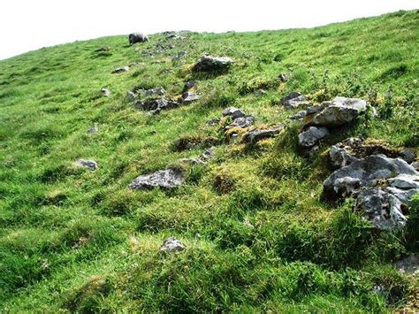 Blocks Of Limestone Possibly From An Old Wall Uk Fossil Collecting
