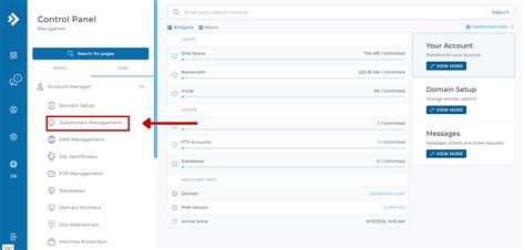 How To Create A Subdomain In Directadmin Evolution Skin Ipserverone