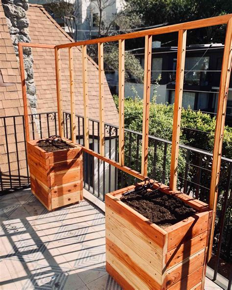 12 Diy Trellis Designs For Privacy Cattle Panel Trellis How To Build