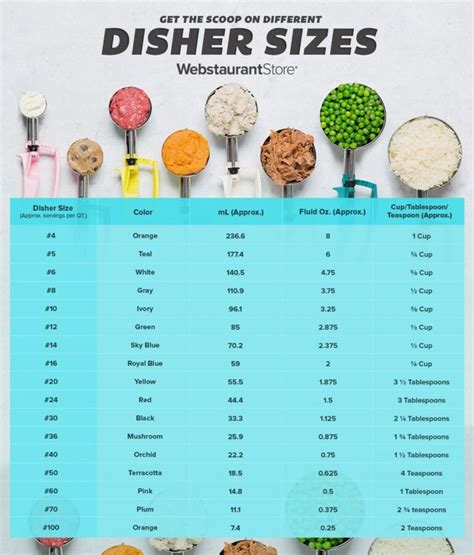 Scoop Serving Size Chart Perfect Portions Every Time