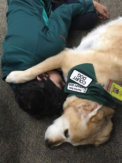 Just Doing Her Job But Still 💕 R Aww