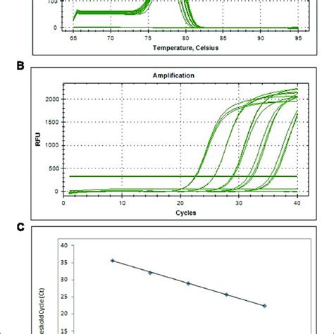 The Melting Curve A Amplification Plot B And Standard Curve C