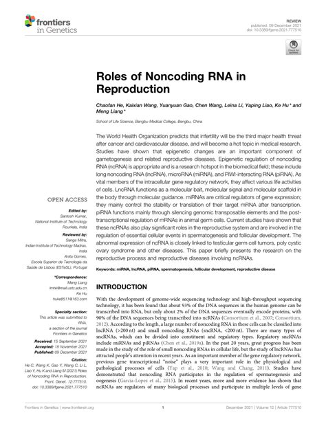 PDF Roles Of Noncoding RNA In Reproduction