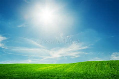 Sunny Sky And Grass Background Beautiful Calm Sunny Sky With White