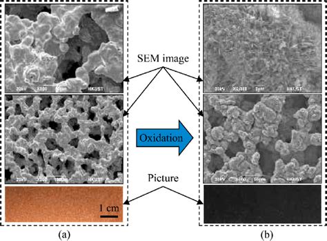 A Copper Foam B Copper Foam With Needle Like Nanostructure Surface