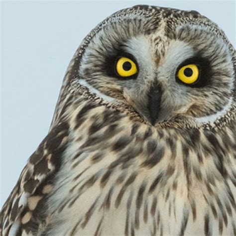 Melissa Hurtado Bracamonte Posted On Linkedin