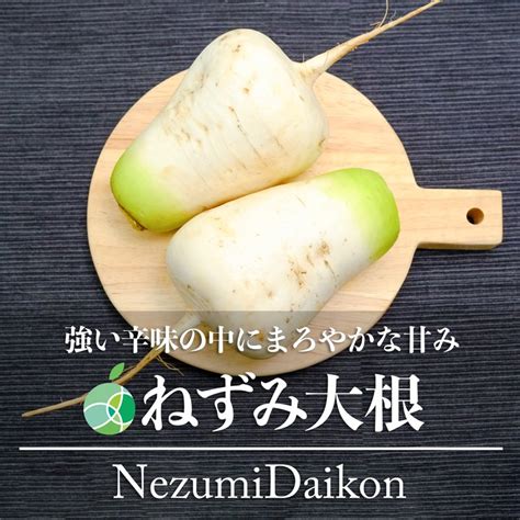 送料無料 ねずみ大根 辛味大根 信州の伝統野菜 約1kg 長野県坂城町産 ファーム大澤屋 オンラインショップ