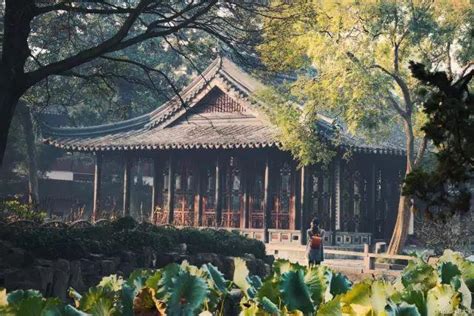 国内12个赏荷胜地别错过周末拍照走起 知乎