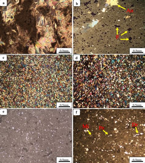 Photomicrographs Of The Main Facies Types In The Asmari Formation A Download Scientific